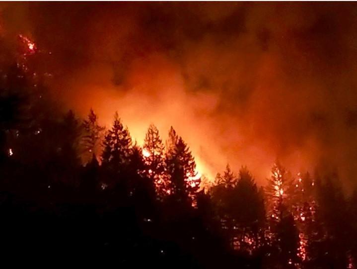 santa-cruz-fire – The Savage Nation