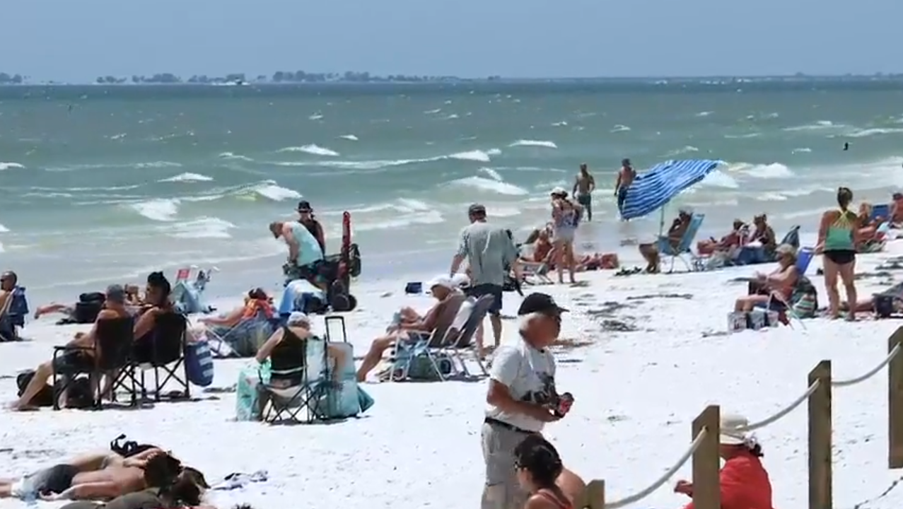 BEACH – The Savage Nation