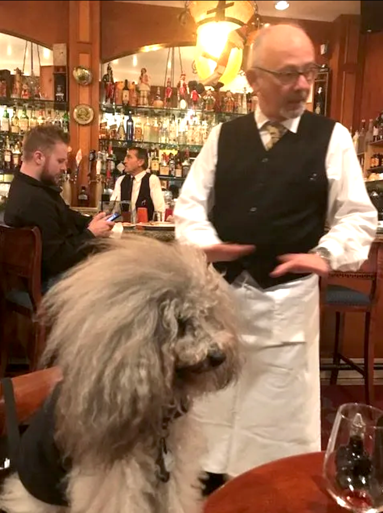 The Savage Nation – MichaelSavage.com – TEDDY ITALIAN RESTAURANT